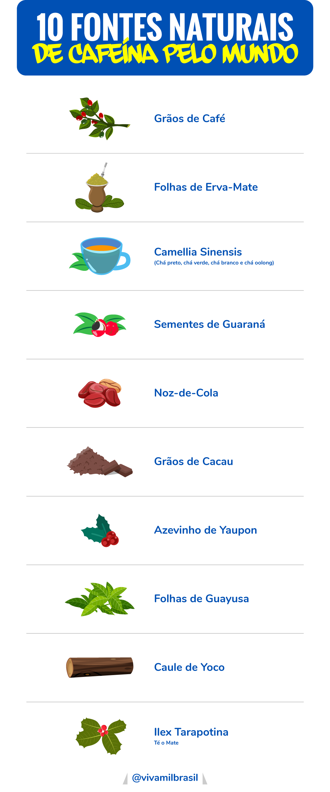 Cafeína Anidra: o que você precisa saber de benefícios